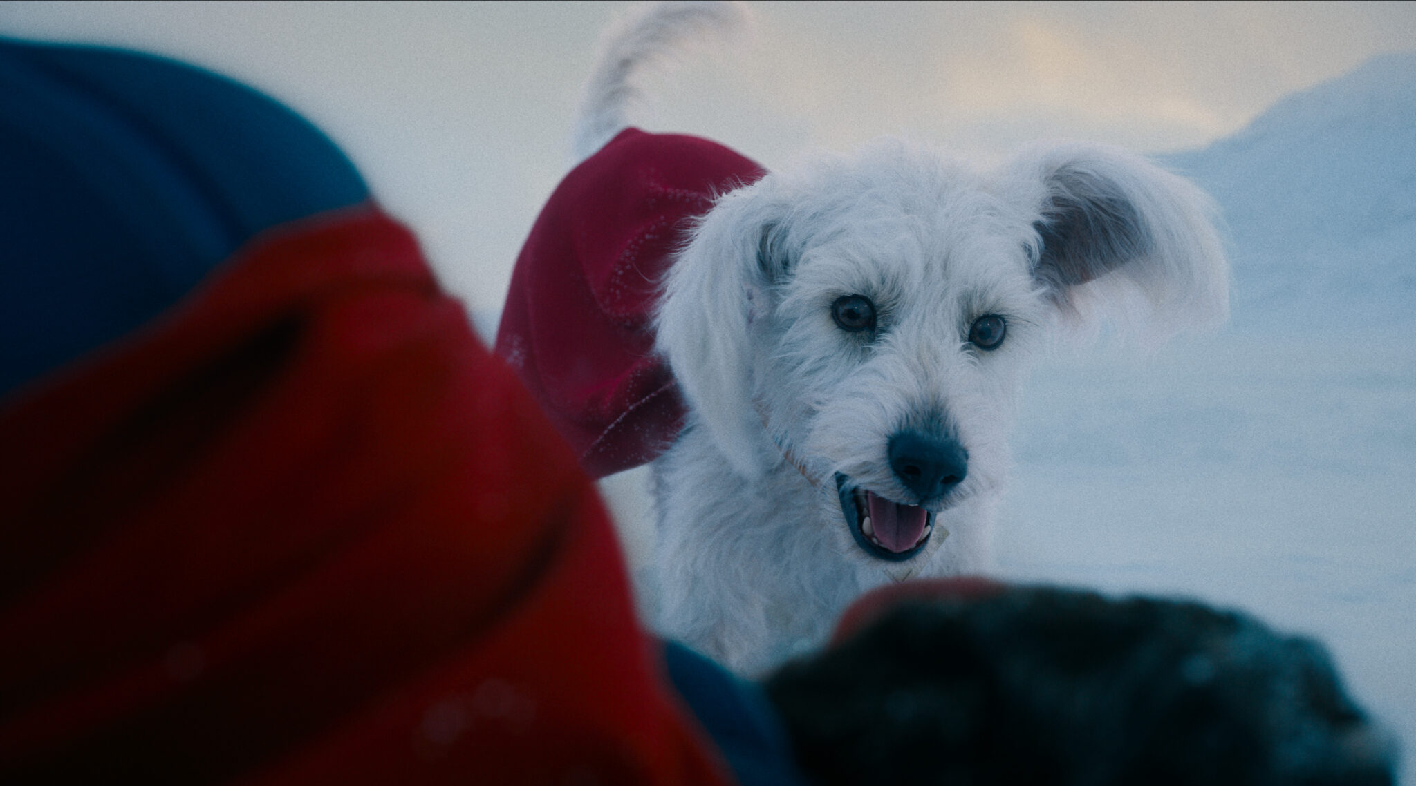 Superman Thursday Box Office Scores $22M+, Blows By Man Of Steel ...