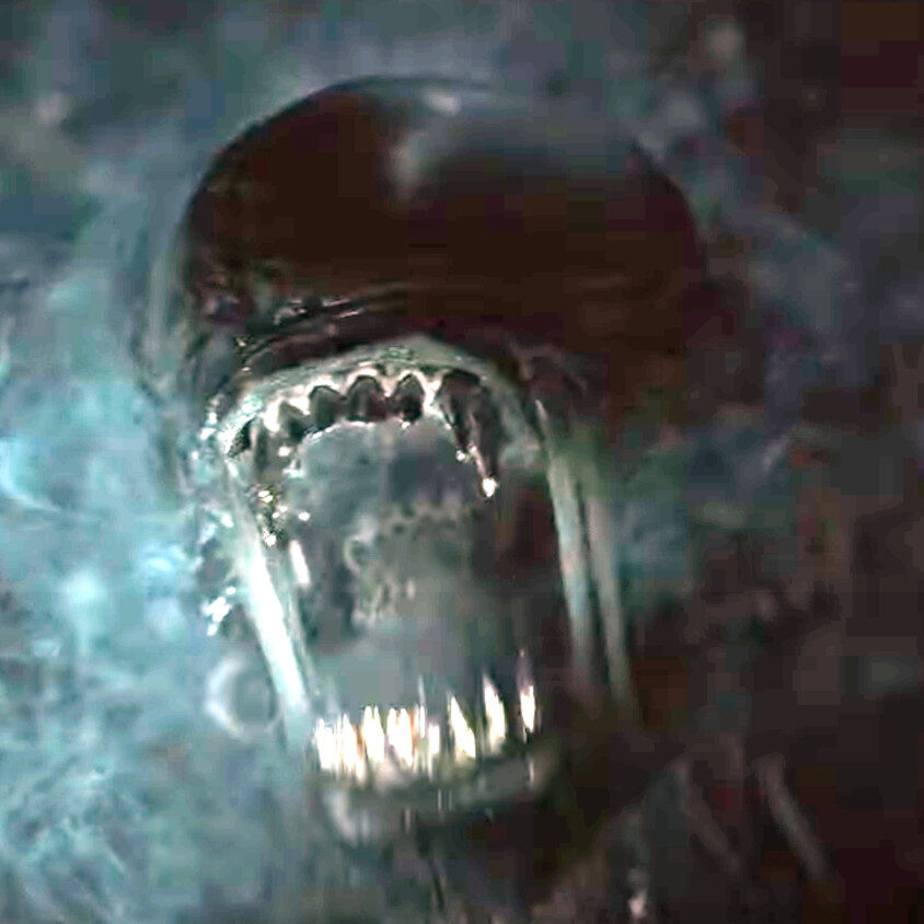 Ingenious 2012 Rotten Tomatoes 10 Great Horror Movies With Bad Rotten